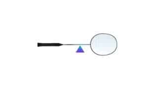 How to Choose a Badminton Racket - RACKET SPORTS.in