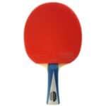 The Top 10 Best Table Tennis Bats in India in 2025 - RACKET SPORTS.in